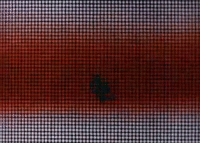 Grid GIFs - Get the best gif on GIFER