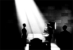 Orson GIFs - Get the best gif on GIFER