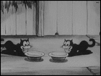 Fleischer GIFs - Get the best gif on GIFER