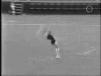 Tumble GIFs - Get the best gif on GIFER