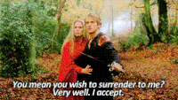 Surrender GIFs - Get the best gif on GIFER