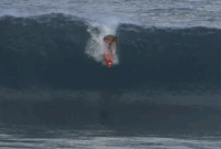 Surfer GIFs - Get the best gif on GIFER