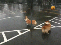 Tetherball GIFs - Get the best gif on GIFER