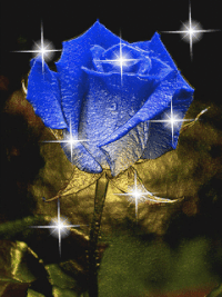 Carnation GIFs - Get the best gif on GIFER