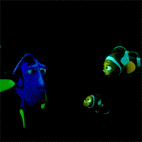 Fn GIFs - Get the best gif on GIFER