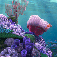 Natural GIFs - Get the best gif on GIFER