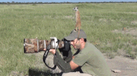 Photographer GIFs - Get the best gif on GIFER