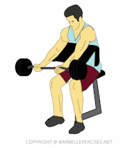 Biceps GIFs - Get the best gif on GIFER