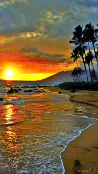 Natural GIFs - Get the best gif on GIFER