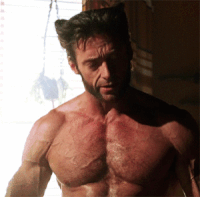 Wolverine GIFs - Get the best gif on GIFER