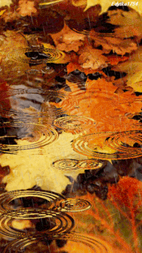 October GIFs - Get the best gif on GIFER
