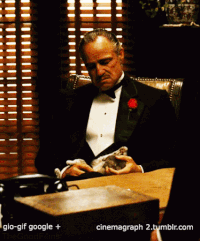 Jefe GIFs - Get the best gif on GIFER