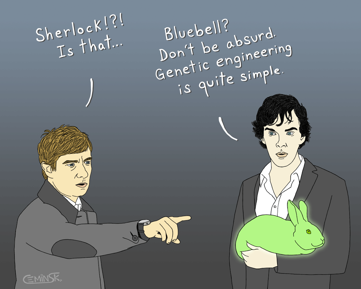 Bgs GIFs - Get the best gif on GIFER