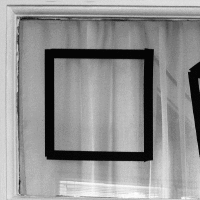 Tapir GIFs - Get the best gif on GIFER