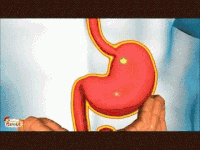 Stomach GIFs - Get the best gif on GIFER