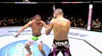 Knockout GIFs - Get the best gif on GIFER