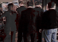 Gat GIFs - Get the best gif on GIFER