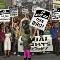 Direitos humanos GIF - Conseguir o melhor gif em GIFER