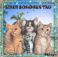 Tag GIFs - Get the best gif on GIFER