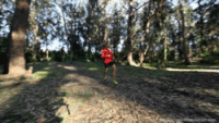 Runner GIFs - Get the best gif on GIFER