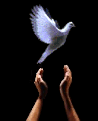 Poetry GIFs - Get the best gif on GIFER