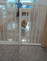Escape GIFs - Get the best gif on GIFER