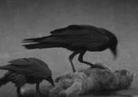 Carcass GIFs - Get the best gif on GIFER