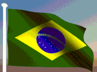 Brasil GIF - Conseguir o melhor gif em GIFER