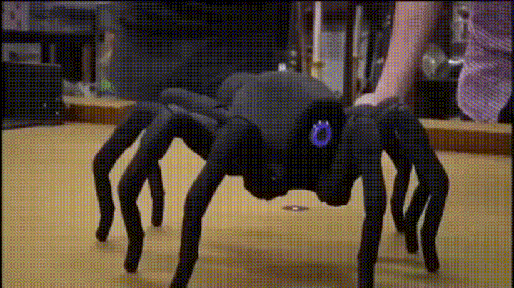 Aaawww GIFs - Get the best gif on GIFER