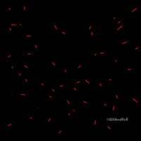 Line GIFs - Get the best gif on GIFER