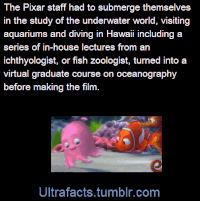 Curiosidades GIFs - Get the best gif on GIFER