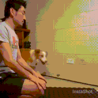 Respecting GIFs - Get the best gif on GIFER