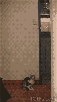 Midair GIFs - Get the best gif on GIFER