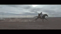 Stampede GIFs - Get the best gif on GIFER