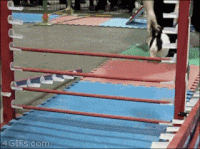 Shortcut GIFs - Get the best gif on GIFER