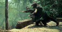Combat GIFs - Get the best gif on GIFER
