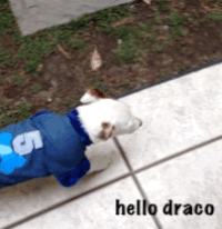 Slideshow GIFs - Get the best gif on GIFER