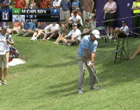 Sauter GIFs - Get the best gif on GIFER