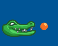 Florida GIFs - Get the best gif on GIFER