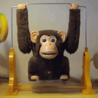 Backflip GIFs - Get the best gif on GIFER