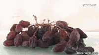 Grape GIFs - Get the best gif on GIFER