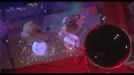 Pigs blood GIF - Conseguir o melhor gif em GIFER