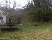 Trampoline GIFs - Get the best gif on GIFER