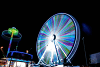 Park GIFs - Get the best gif on GIFER