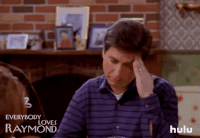 Ray barone GIF - Conseguir el mejor gif en GIFER