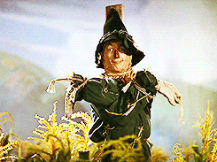 Scarecrow GIFs - Get the best gif on GIFER