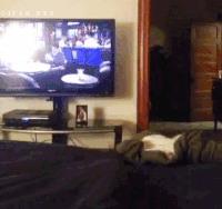 Ceiling GIFs - Get the best gif on GIFER