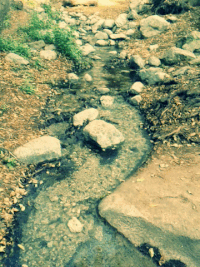 Hiking GIFs - Get the best gif on GIFER