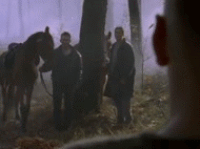 Highlander GIFs - Get the best gif on GIFER