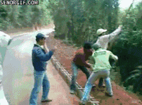 Swing GIFs - Get the best gif on GIFER